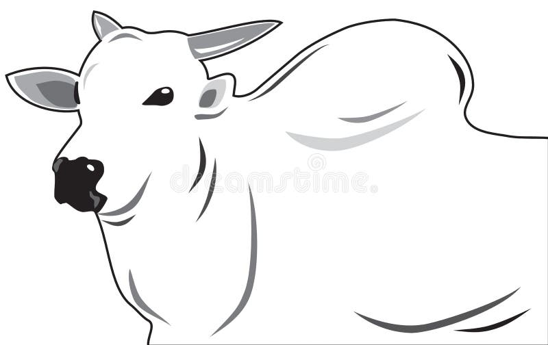 Zebu Cow Stock Illustrations – 280 Zebu Cow Stock Illustrations ...