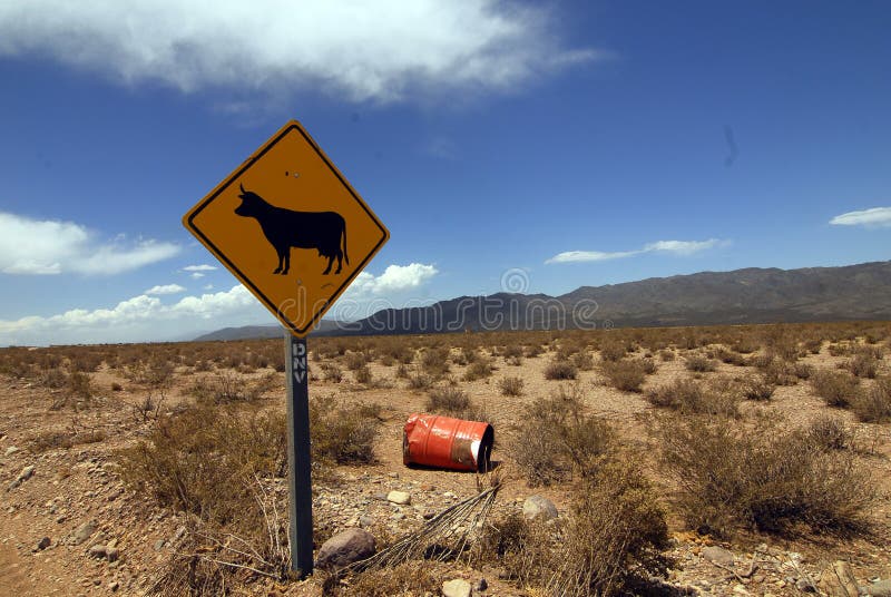 The Cow is an Animal, a Ruminant Stock Photo - Image of subsidies ...