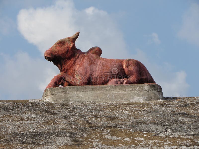 Cow As a Sacred Animal in India Stock Image - Image of prayer ...