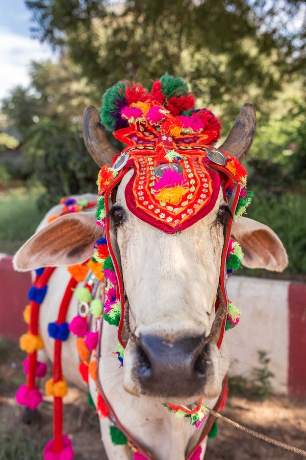 Traditional Burmese Tea Leaf Salad in Myanmar Stock Photo - Image of ...