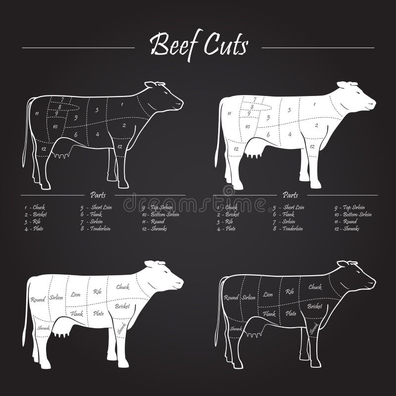 Cow Beef Meat Cuts Scheme on Blackboard Stock Vector - Illustration of ...