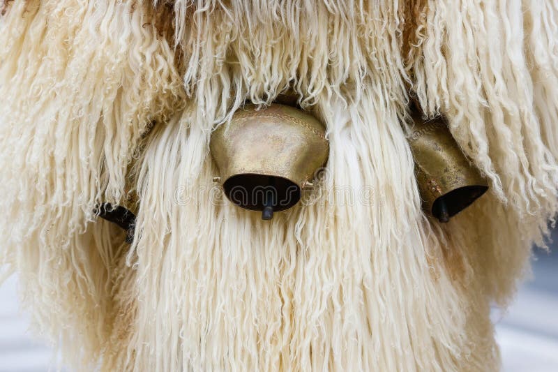 Cow bells stock photo. Image of costume, ancient, attractive - 38430364