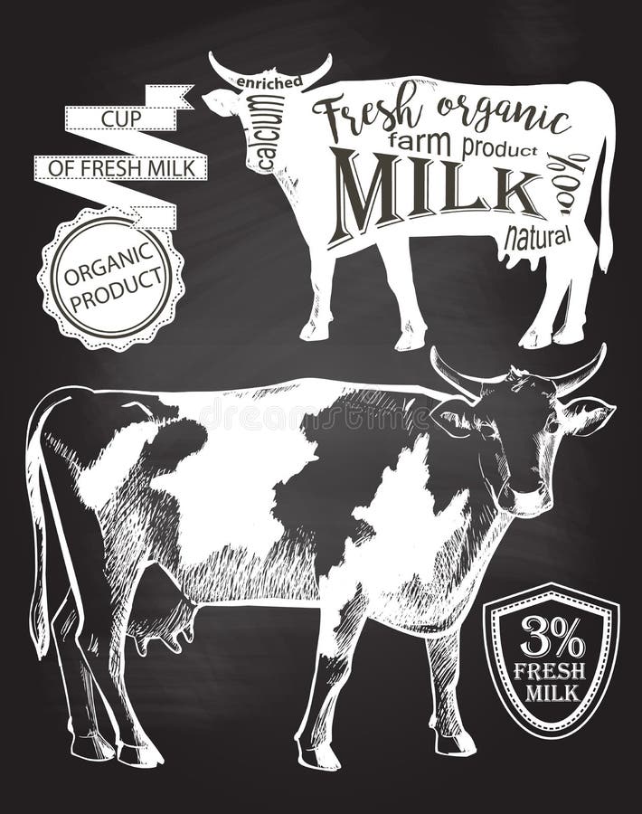 Chalk Cow Drawing Stock Illustrations – 189 Chalk Cow Drawing Stock ...