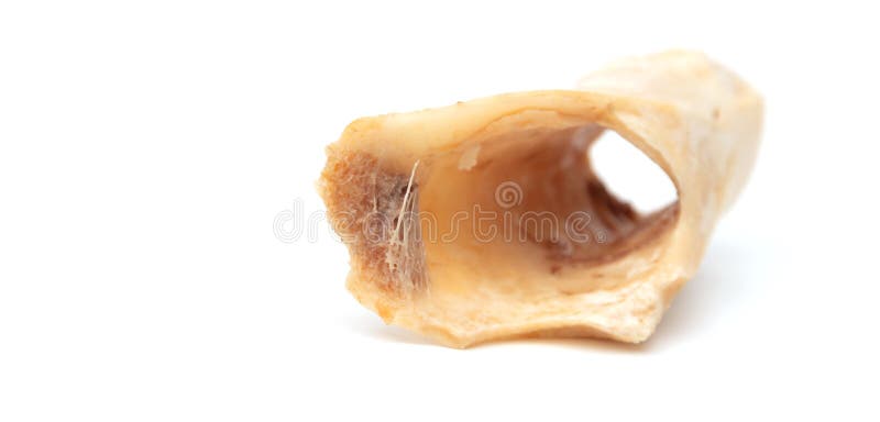 Cow Bone Isolated on White Background Stock Image - Image of meat ...