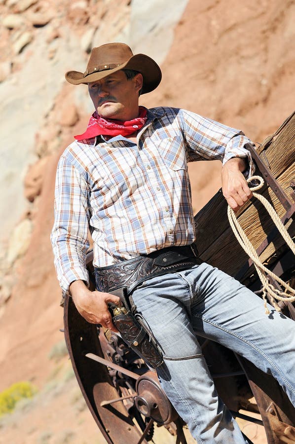 Cow boy spirit stock image. Image of capitol, gelding - 28297717