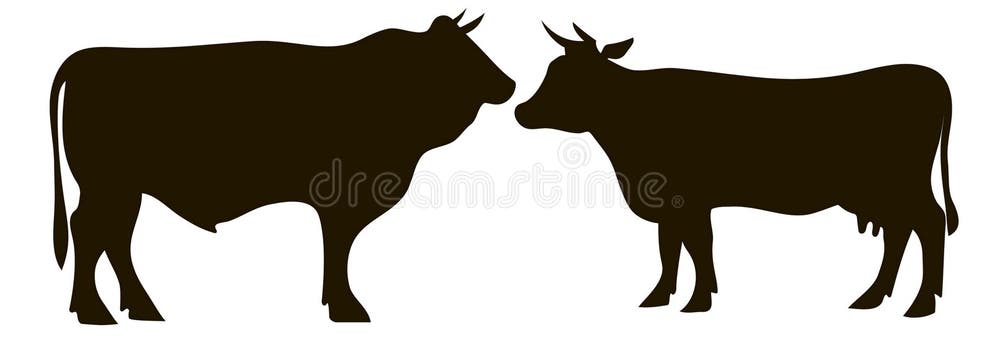 Cow and bull stock vector. Illustration of drawing, black - 55017496