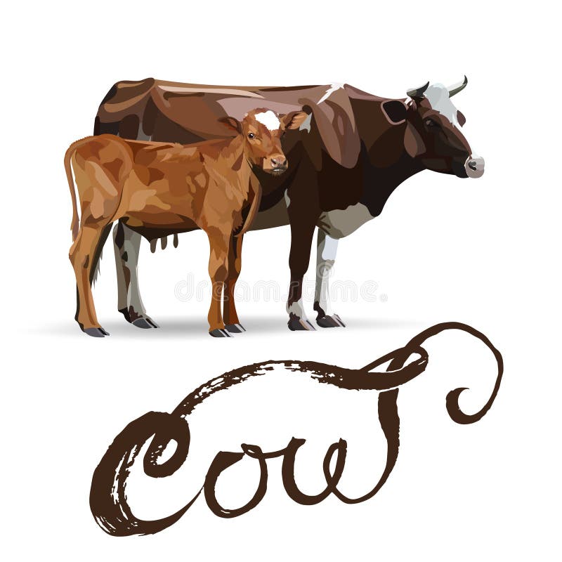 Cow Calf Brown Calf Brown, Vector Stock Vector - Illustration of modern ...