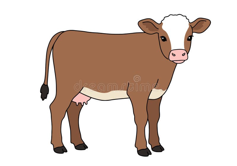 Baby Calf Clip Art