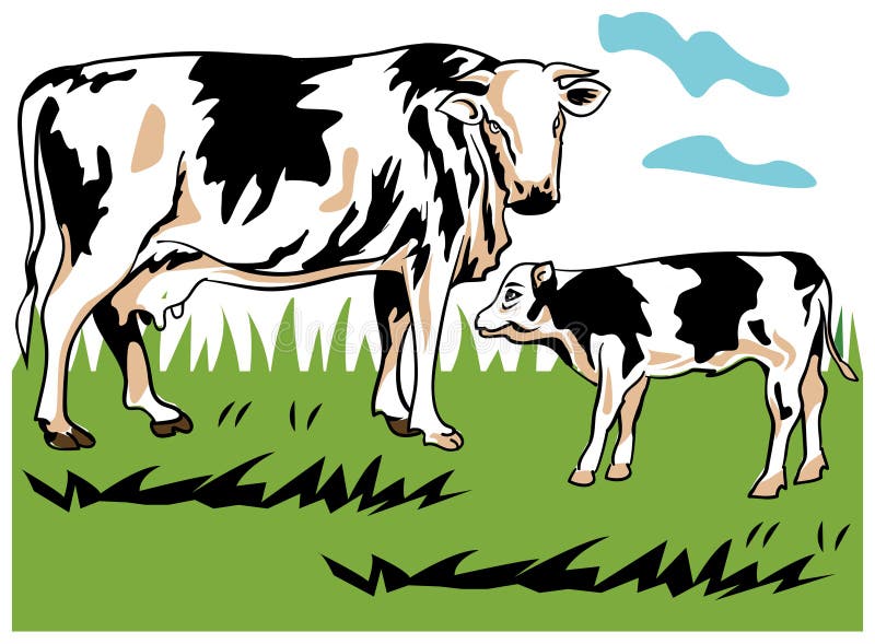 Cow and calf stock vector. Illustration of farmland, care - 56015716