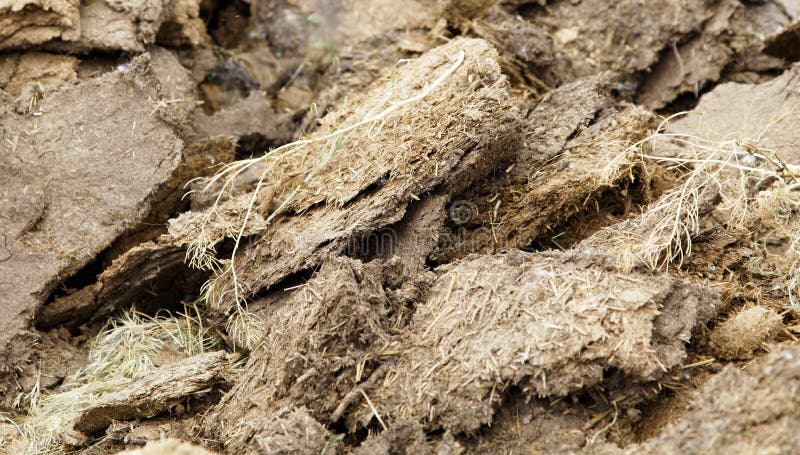 Cow Cattle Manure Texture Background Stock Image - Image of space, pies ...