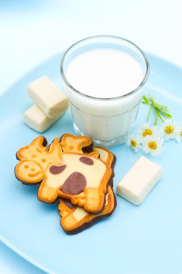 Cow cookies and milk stock photo. Image of flower, cookies - 43416578