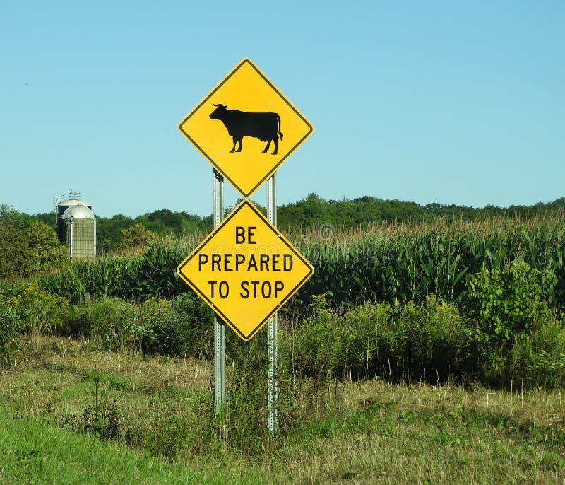 Cow Crossing Country Yellow Road Sign in NYS Stock Image - Image of ...
