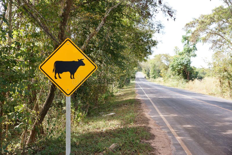 Cow crossing road sign stock image. Image of background - 83509399