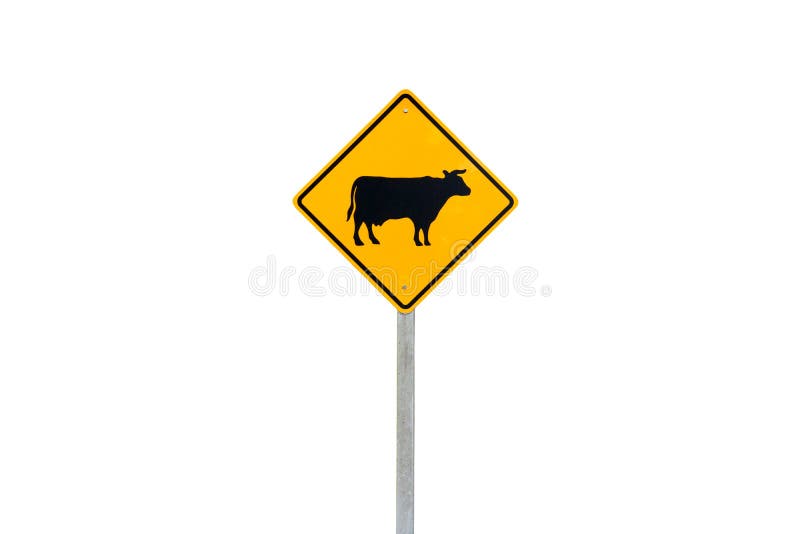 Cow crossing road sign stock photo. Image of buffalo - 83513188
