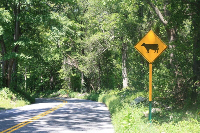 Open range sign stock image. Image of open, yellow, warning - 21065345