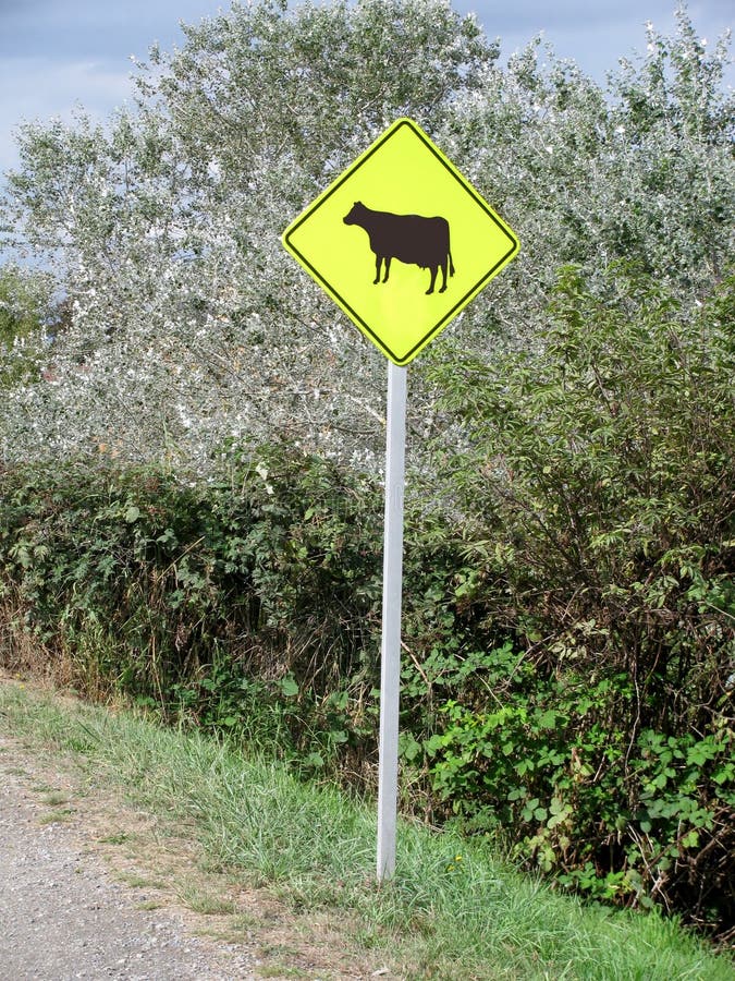 Cow Crossing Sign stock photo. Image of grass, farm, safety - 74478732