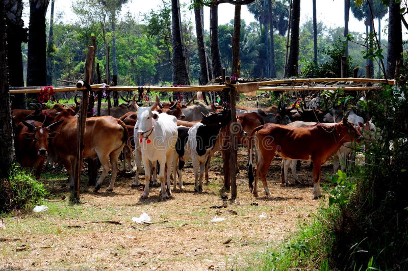 Crowd Picture. Image: 91775356