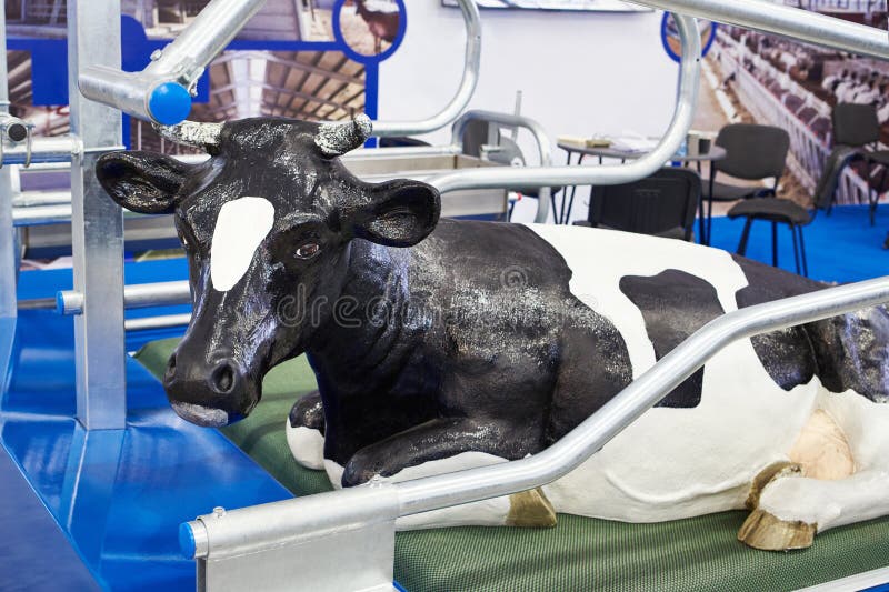 Cow Dummy Farm Equipment Stock Photos - Free & Royalty-Free Stock ...