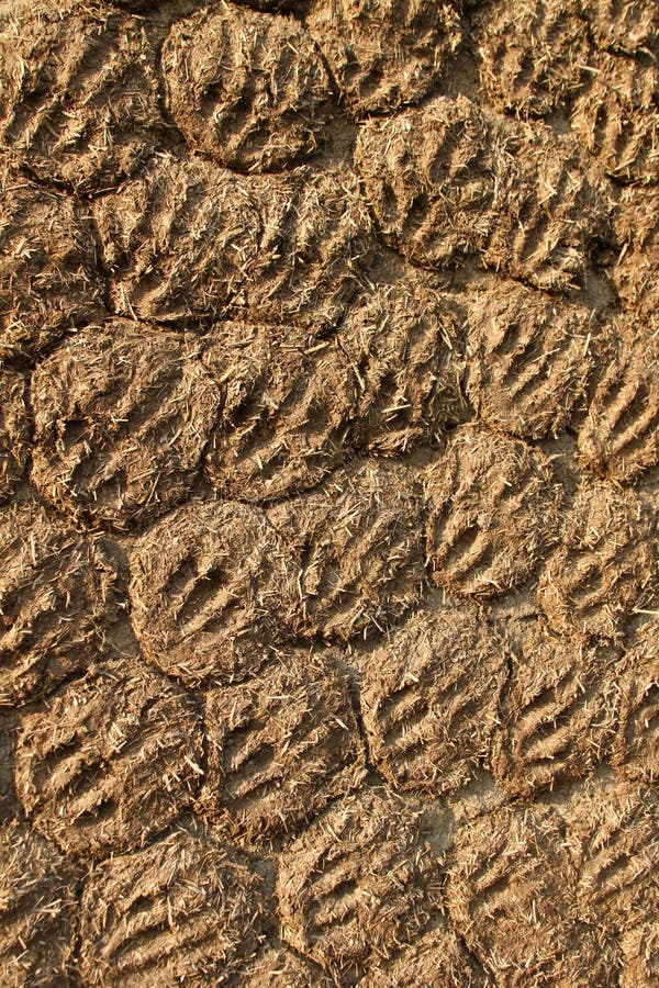 Cow dung stock photo. Image of handmade, dung, wallpaper - 14748338