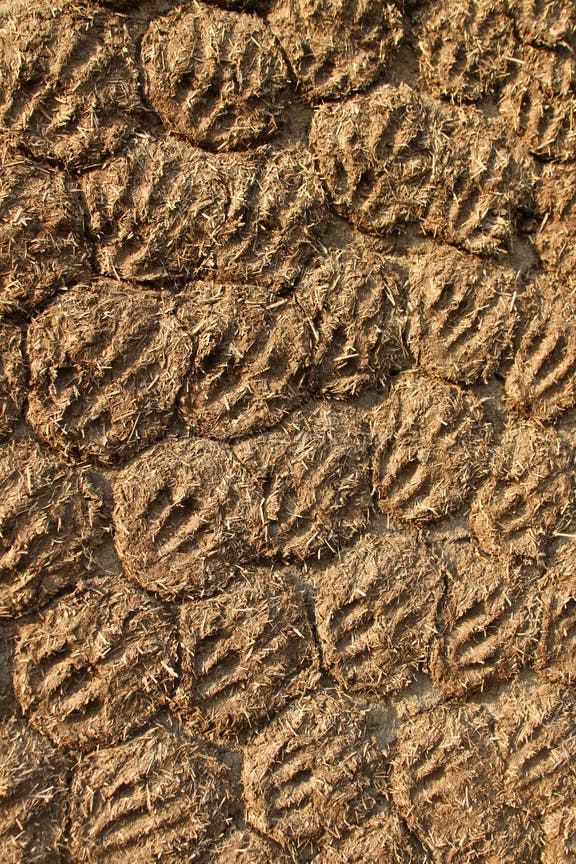 Cow dung stock photo. Image of handmade, dung, wallpaper - 14748338