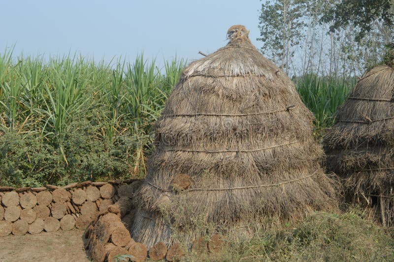 Cow Dung Cake Hut Stock Photos - Free & Royalty-Free Stock Photos from ...
