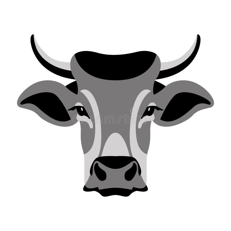 Cow Front Face Stock Illustrations – 489 Cow Front Face Stock ...