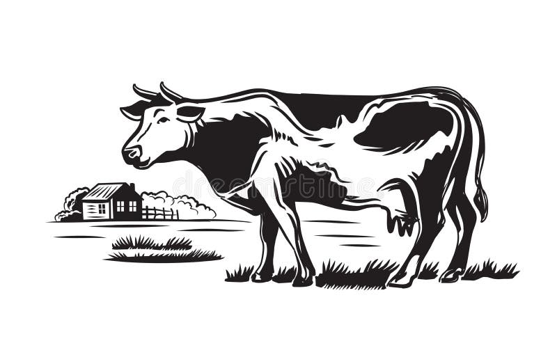 Farm and field stock vector. Illustration of country - 62533046