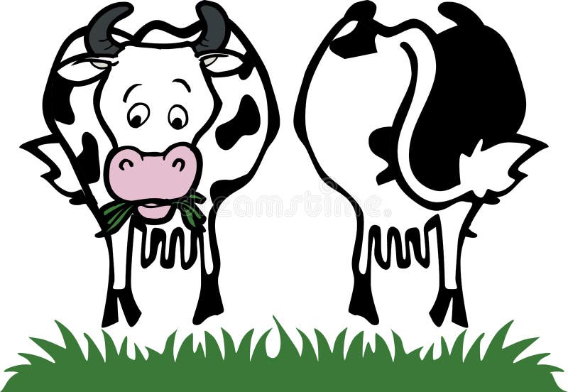 Cow front and back stock vector. Illustration of barn - 25462662