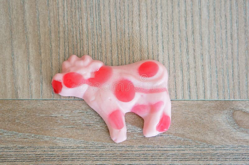 Cow gum stock image. Image of food, wood, candy - 49657367