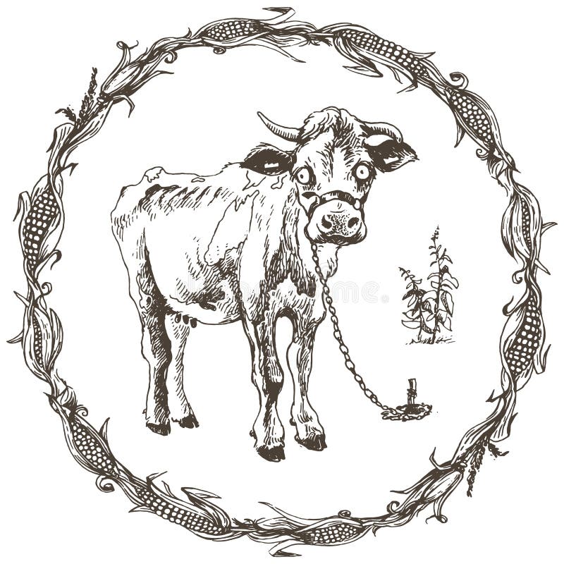 Cow stock vector. Illustration of round, cattle, hand - 62157324