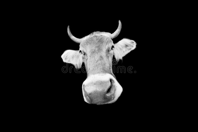 Character Adv Stock Photos - Free & Royalty-Free Stock Photos from ...