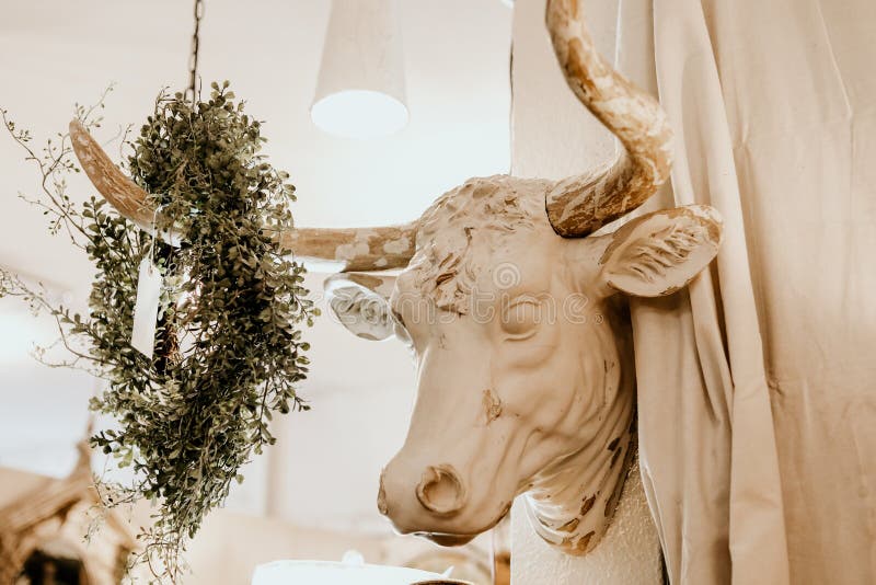 Cow Head Mount Picture. Image: 117112512