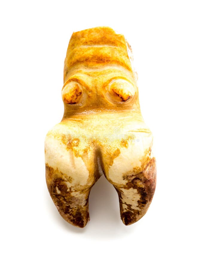 The cow hoof. stock image. Image of color, single, white - 72494663