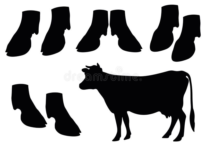 Cow and Hooves in Different Poses in the Set. Stock Vector ...