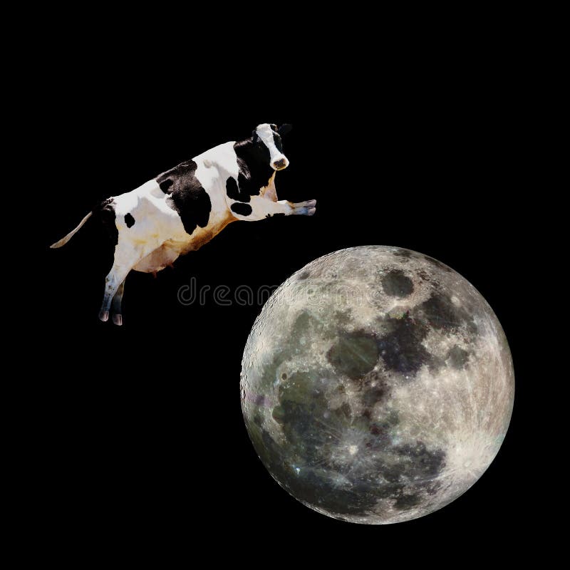 The Cow Jumped Over The Moon
