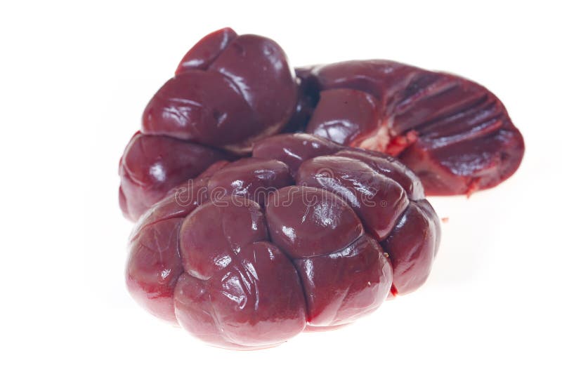 Cow Kidneys Stock Illustrations – 18 Cow Kidneys Stock Illustrations ...