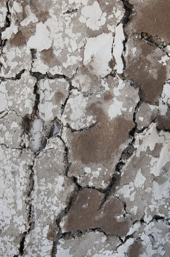 Cow Manure Wall stock photo. Image of house, outside - 37633546