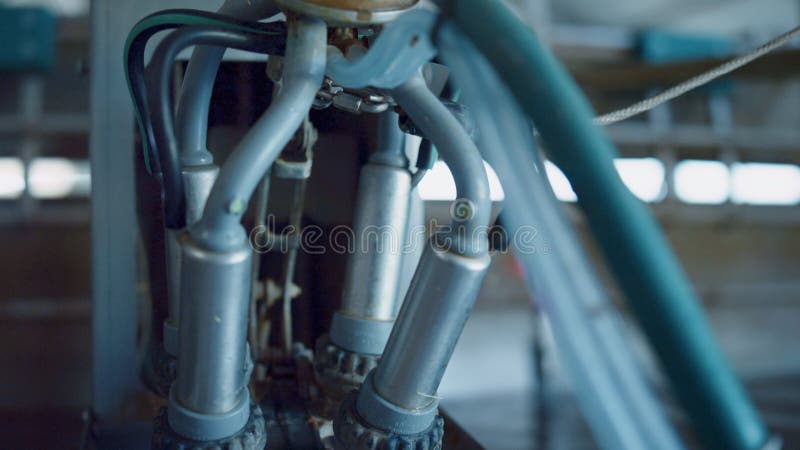 Cow Milking Device Placed in Technological Farm Close Up. Milk ...