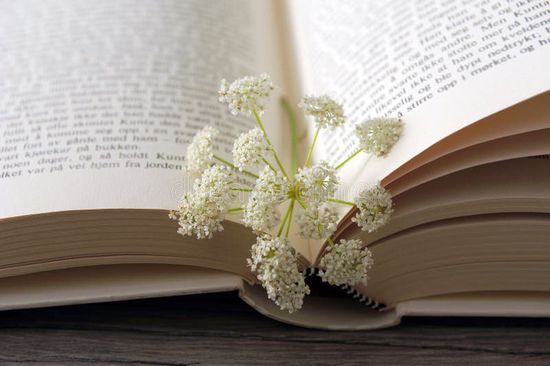 360 Open Book Poems Stock Photos - Free & Royalty-Free Stock Photos ...