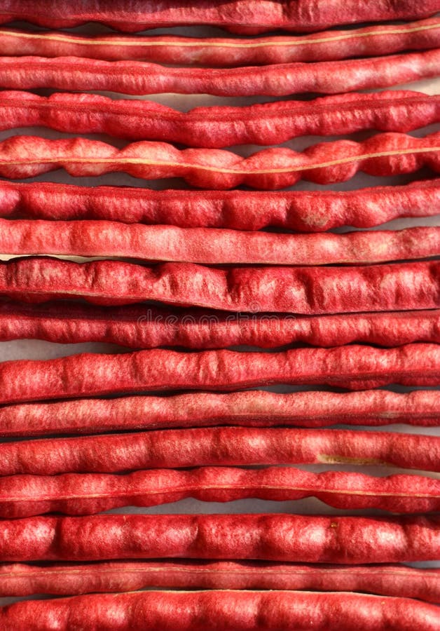 Cow pea stock image. Image of simplicity, ingredients - 16124729