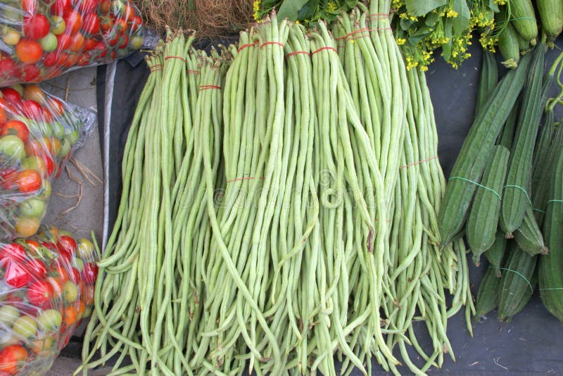 Cow-pea stock image. Image of long, herbs, fresh, collection - 25512277