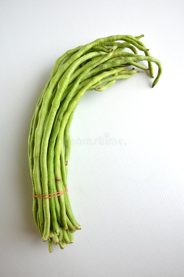 Cow-Pea stock image. Image of food, green, eating, group - 67331555