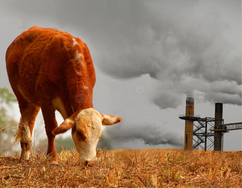 Cow with Pollution stock image. Image of global, industry - 2086095