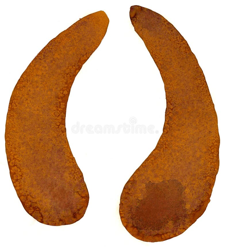 Cow print stock illustration. Illustration of animal, mark - 9148439