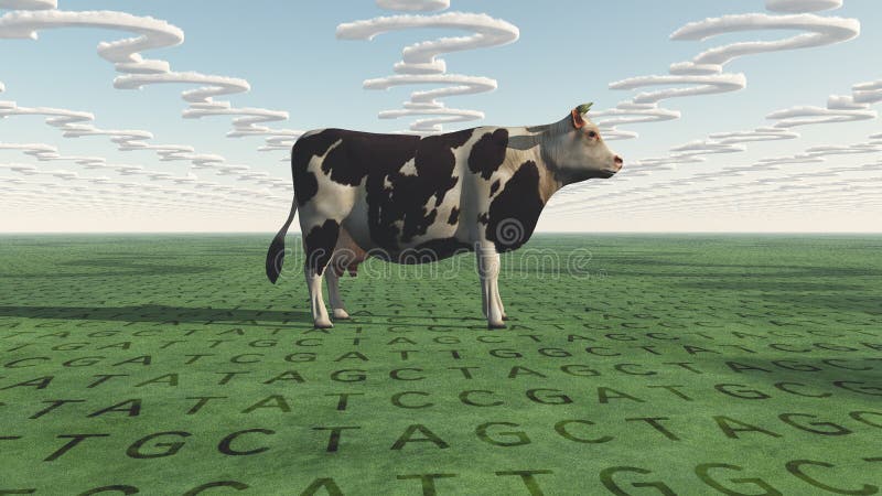 Cow and Questions Clouds and Genetic Code on Ground Stock Illustration ...