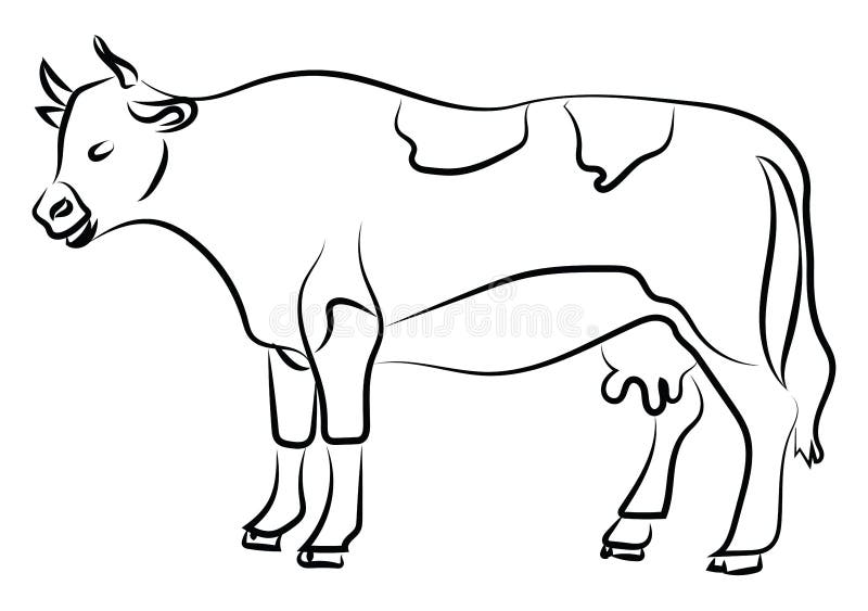Cow Standing, View Profile. Farm Animal, Beef, Milk. Sketch Vector ...