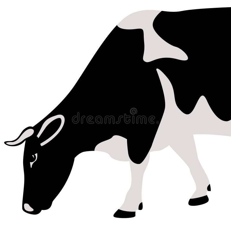 Cow Side View, Vector Illustration, Flat Stock Vector - Illustration of ...