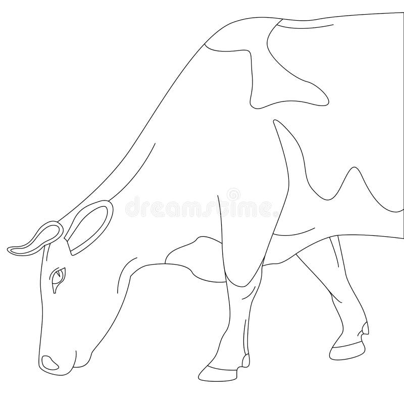 Cow Side View, Vector Illustration, Lining Stock Vector - Illustration ...