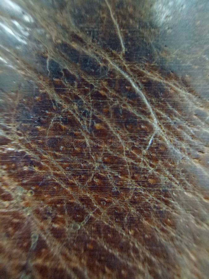 Cow skin brown colour stock image. Image of surface, brown - 93856475