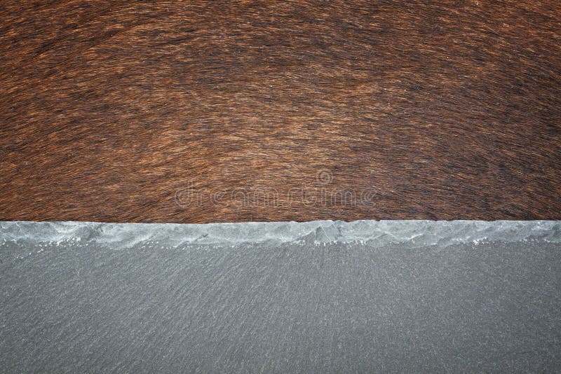 Cow skin and stone stock photo. Image of wool, hair, skin - 86076156